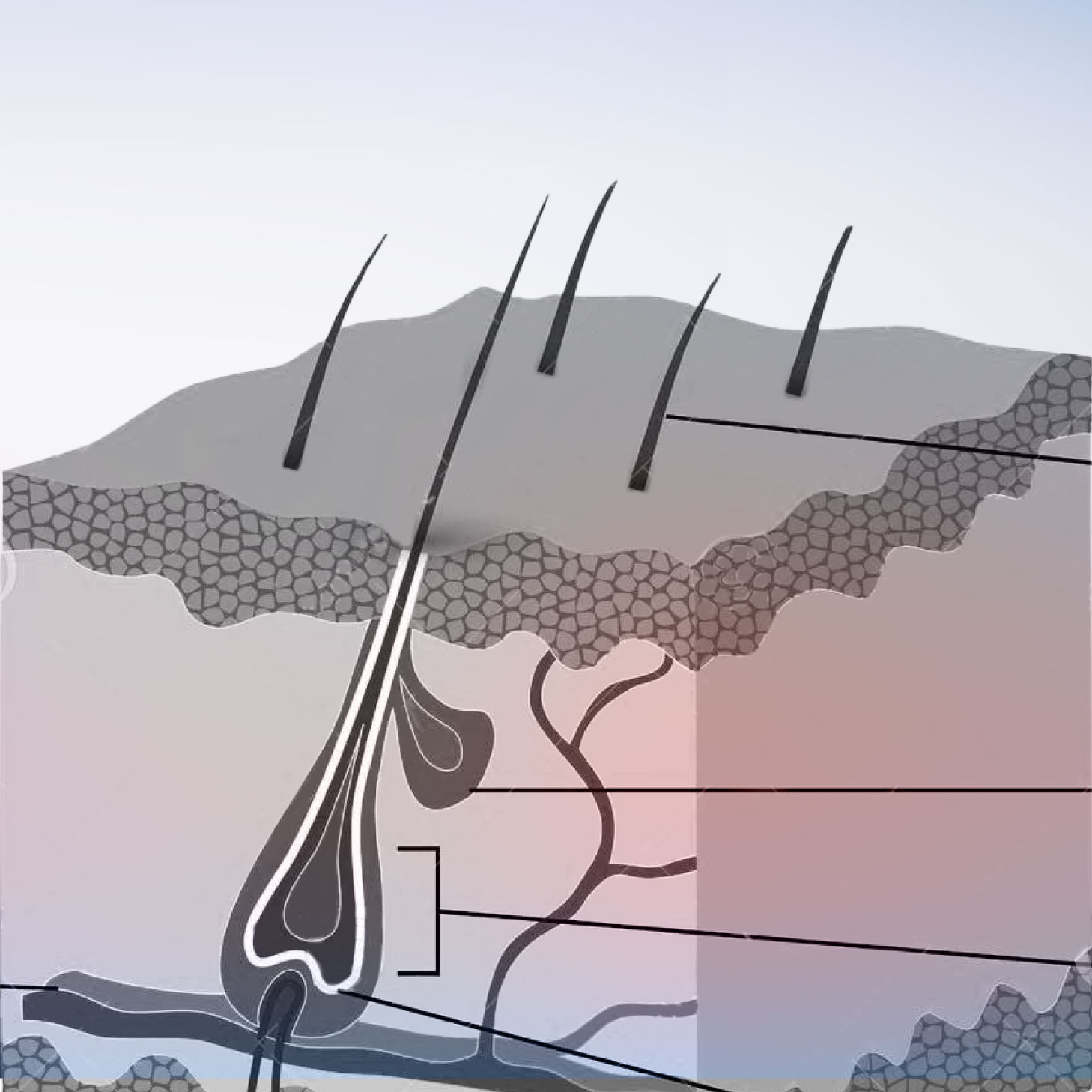 Nekderx - Scalp Knowledge 2.0 [KL]